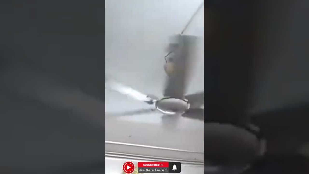 Ceiling fan accident #shorts - YouTube