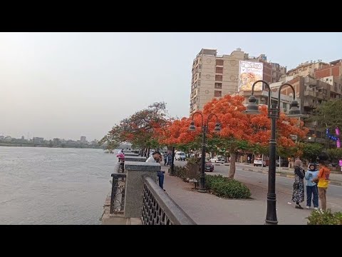 The best place in banha city Egypt 🇪🇬 - YouTube