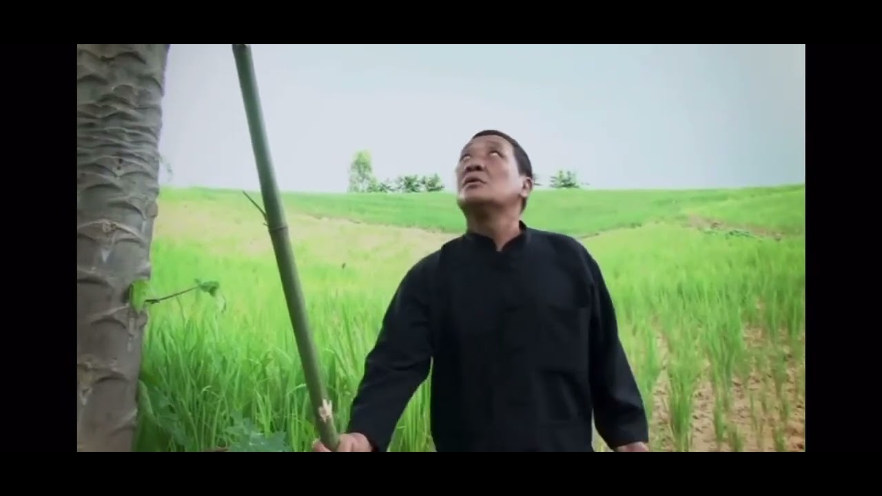 Hmong movie funny. - YouTube