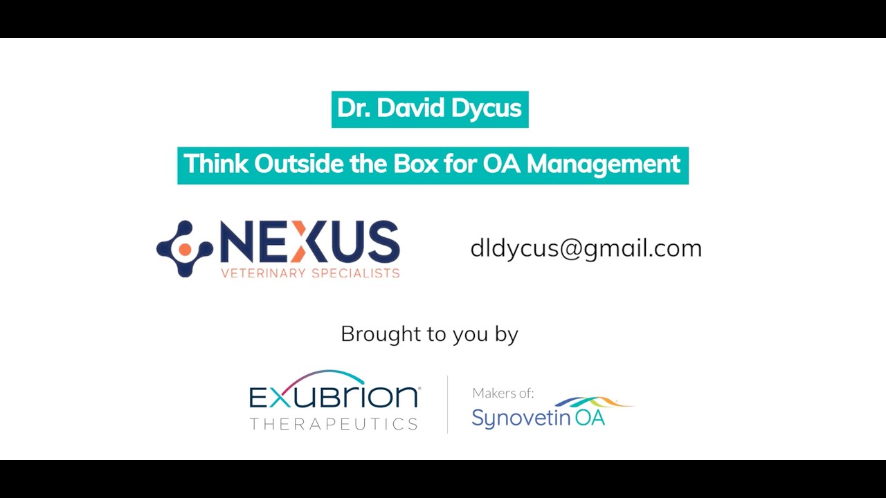 Think Outside the Box for Pain Management with Dr. David Dycus - YouTube