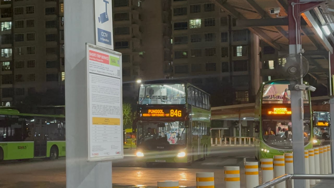 MRTravels on a Bus: SG6091K on Service 84G - YouTube