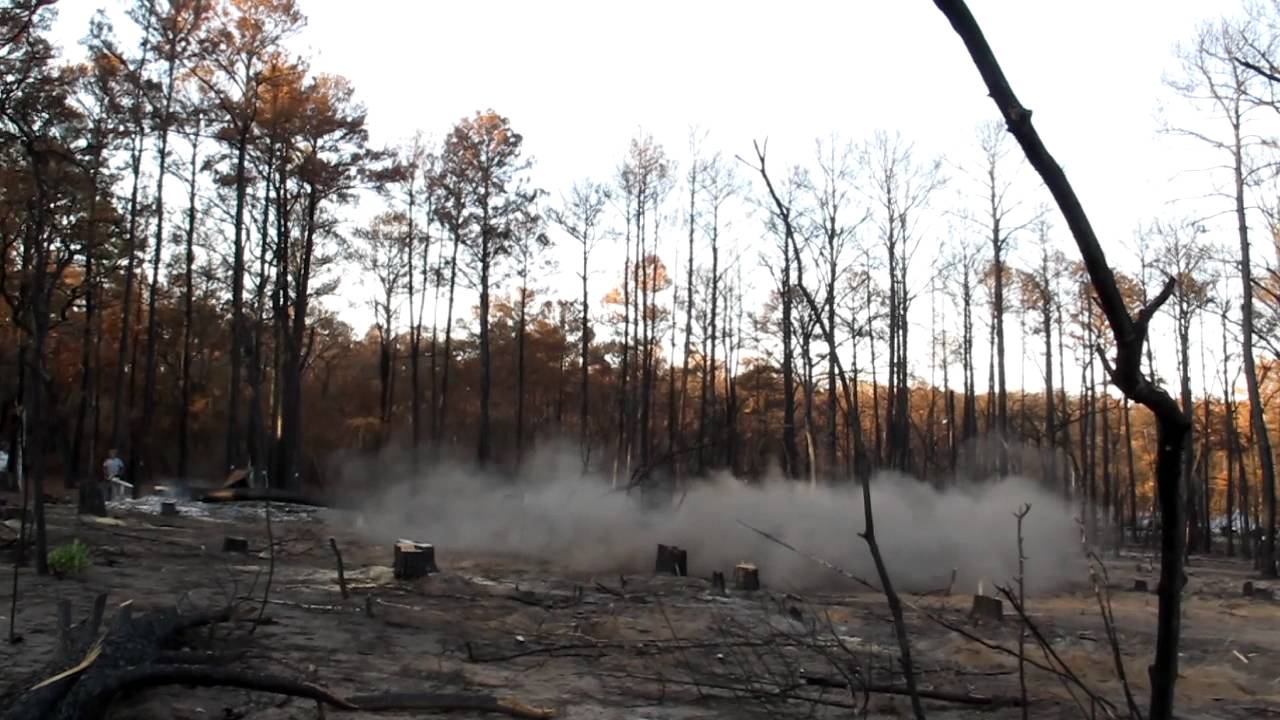 Removing Pine Trees after Bastrop Fire (2 of 2) - YouTube