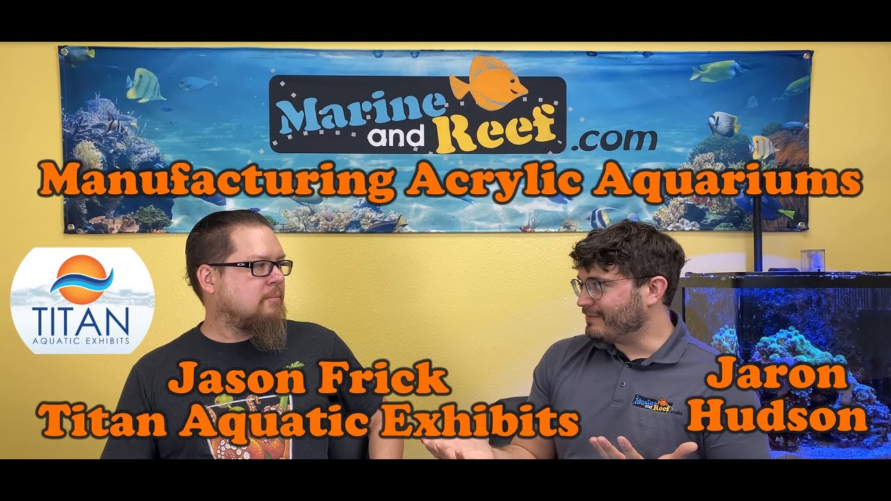Acrylic Tank Manufacturing 6 Benefits Of Acrylic Sheet Aquariums