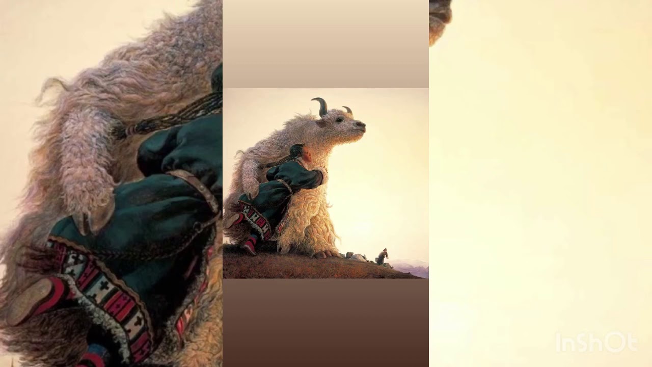 ཨ་མདོ་བ (Tibetan New Song 2020) ADong - YouTube