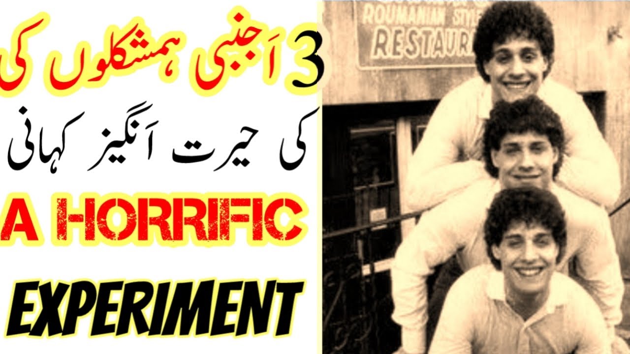 Three identical strangers?|Robert,eddy and david?|eddy galland david kellman and robert shafran ...