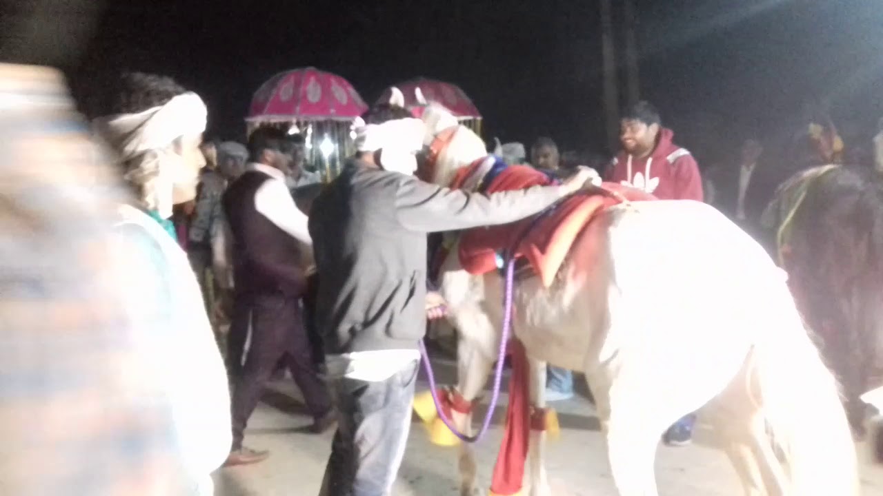 Md Altaf Alam - YouTube