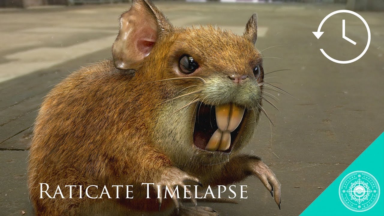 Pokemon Zoology: Raticate Timelapse - YouTube
