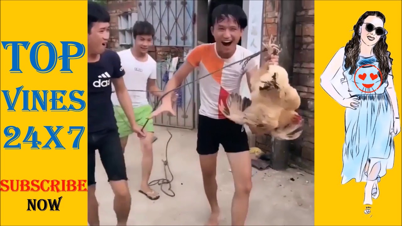 Classic Vines Clean - Funny Instagram Videos and Vines - Top Vines of ...