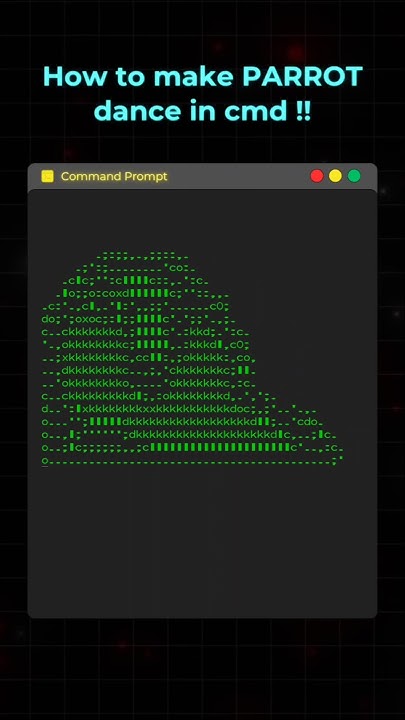 How to make parrot dance in cmd 🔥🔥 #code #cmd #python #programming #html - YouTube
