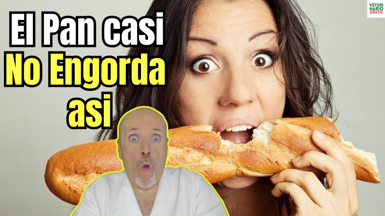😱 EL PAN ENGORDA MUCHO MENOS SI ANTES LO CONGELAS ASI 😱 - YouTube