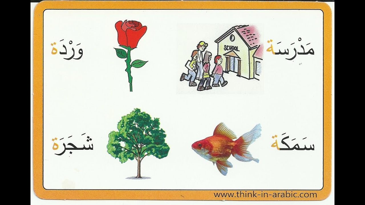 Four Arabic words a day from Think in Arabic 31 - YouTube