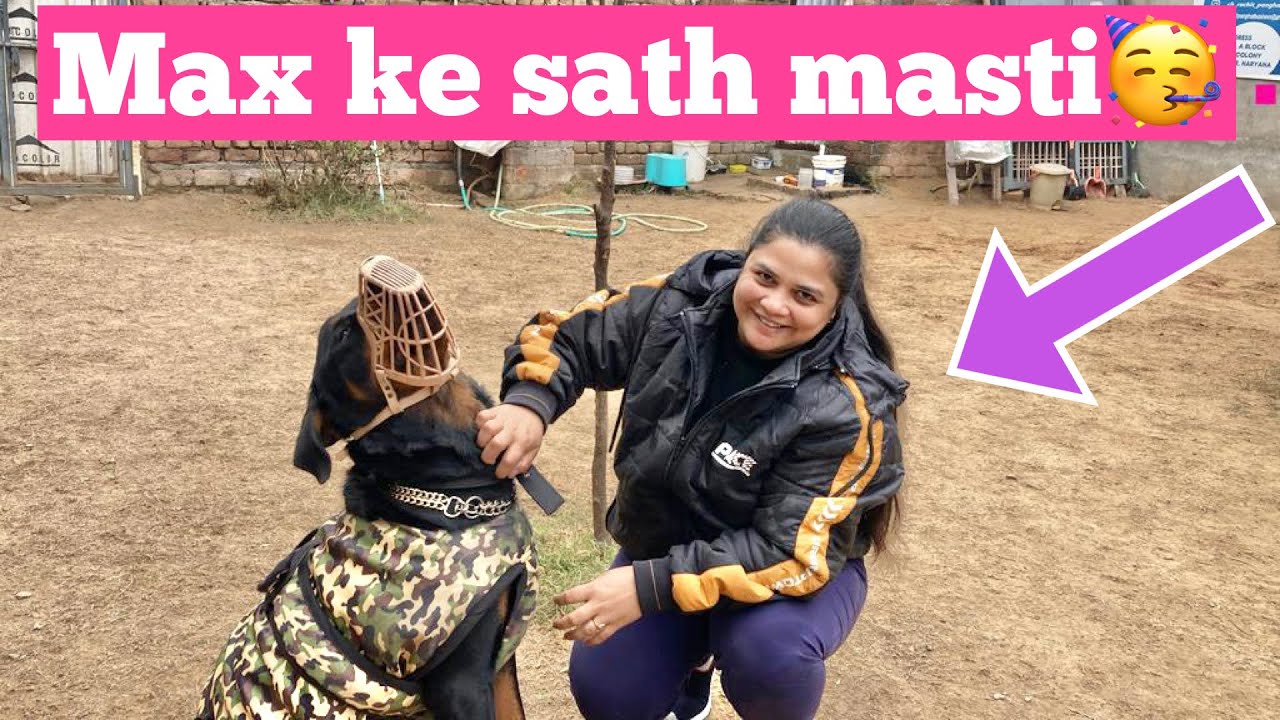 2 year old Rottweiler training excellent results . - YouTube