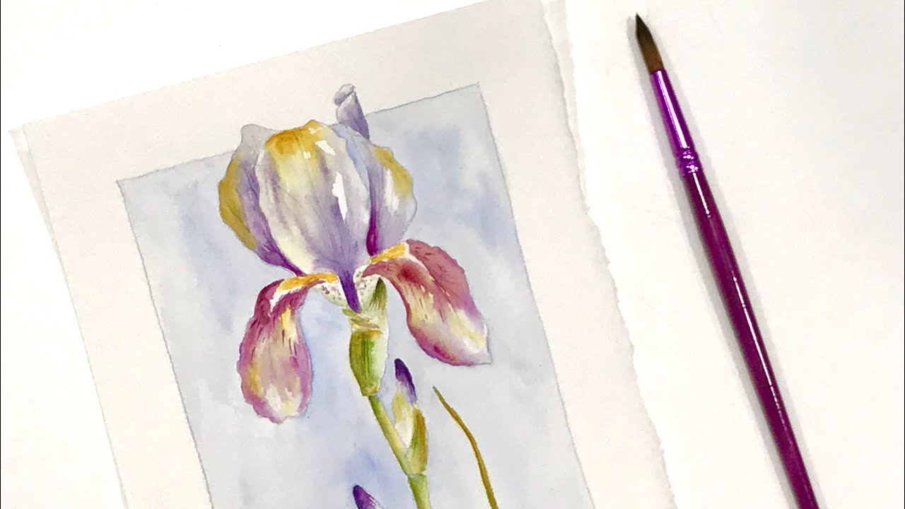 Purple Iris Watercolor Class - YouTube
