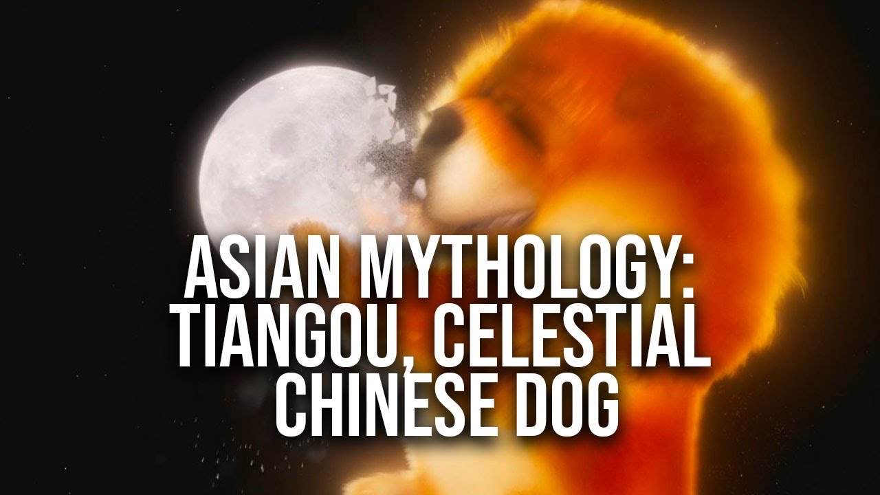 Best Asian Mythology: Tiangou The Celestial Chinese Dog | The Dog That ...
