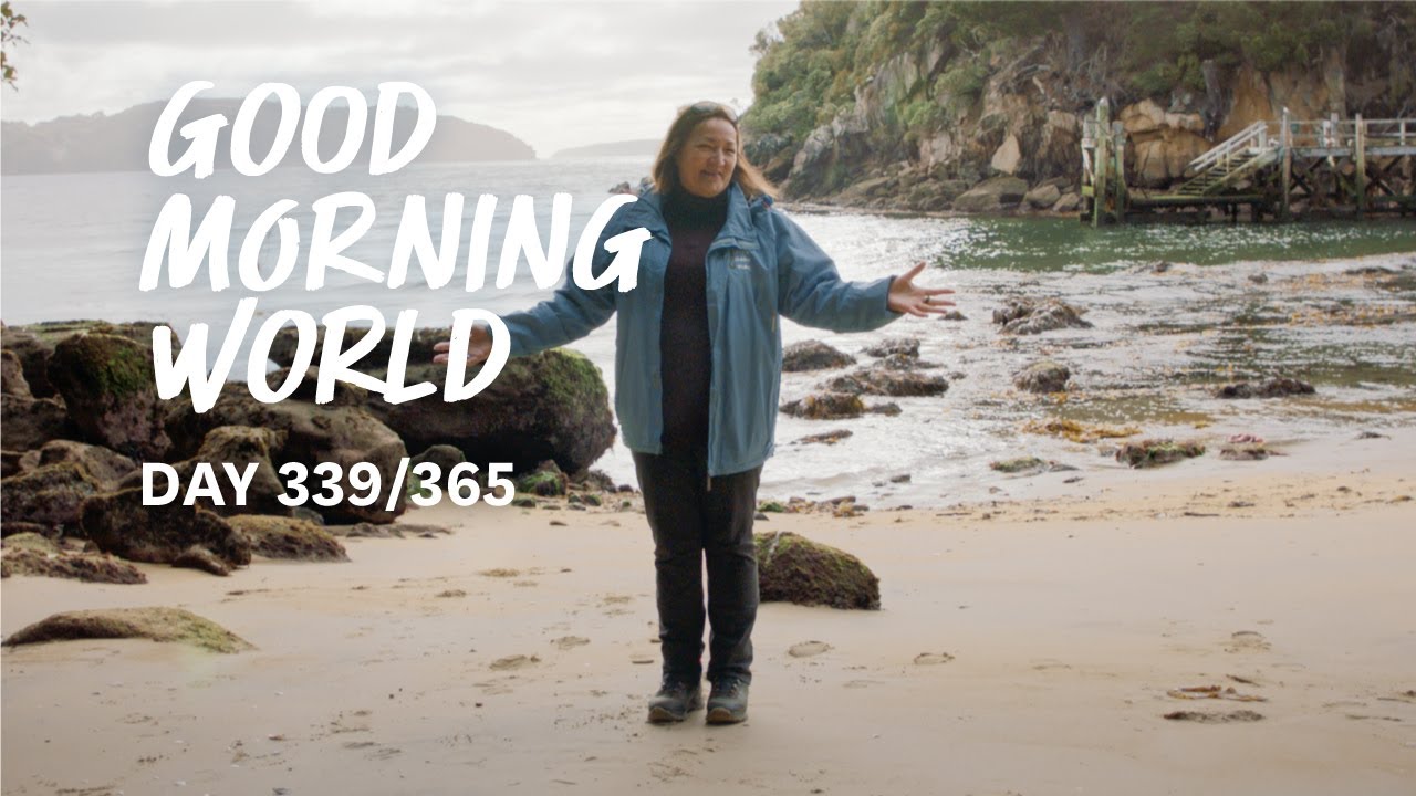 Good Morning World | Day 339 of 365 - YouTube