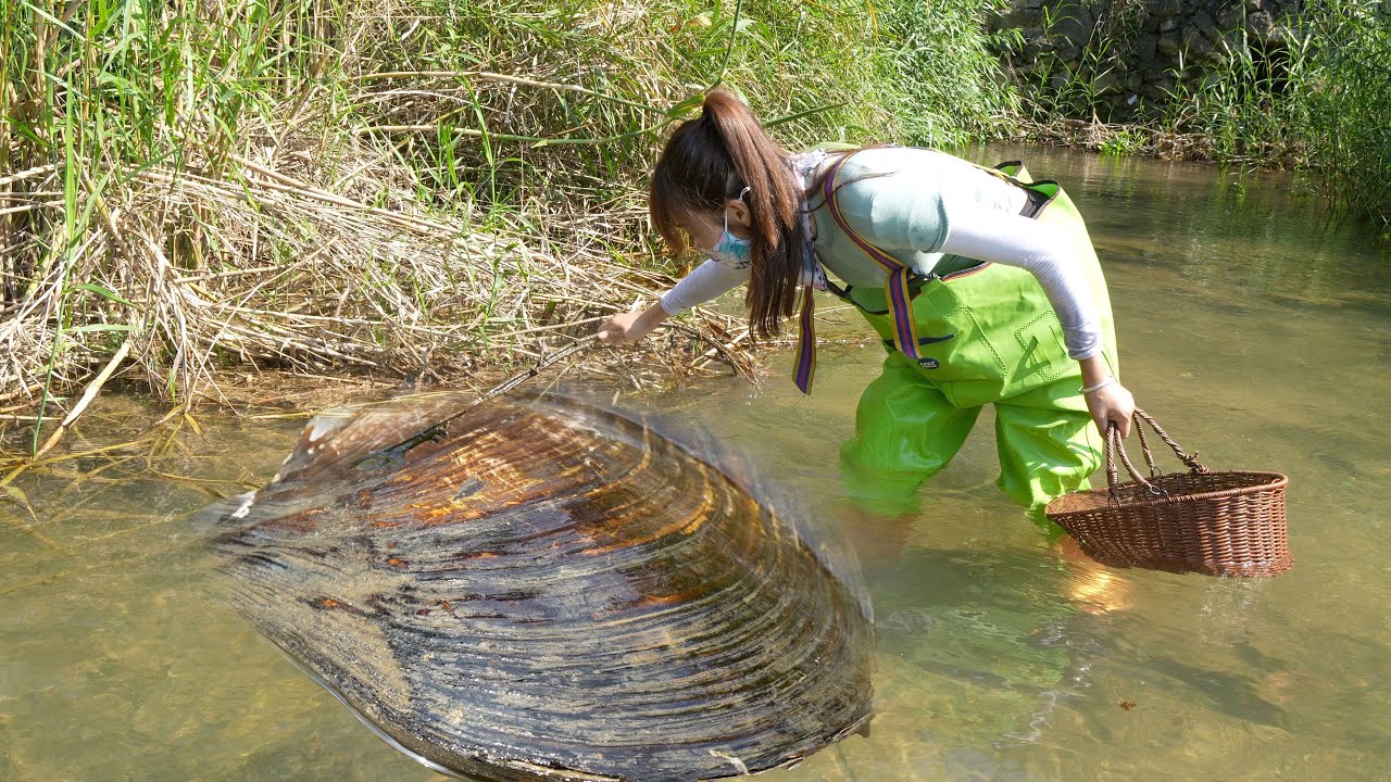 Clam of Legends: Girl’s River Find Sparks Pearl Rush After Discovery of ...