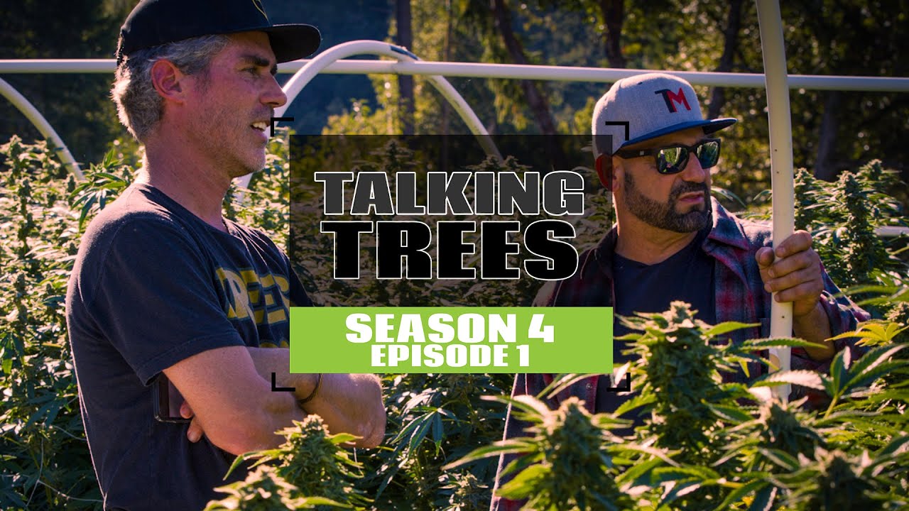 S4 EP1 The Most Sustainable Cannabis Brand In Cannabis | Talking Trees ...