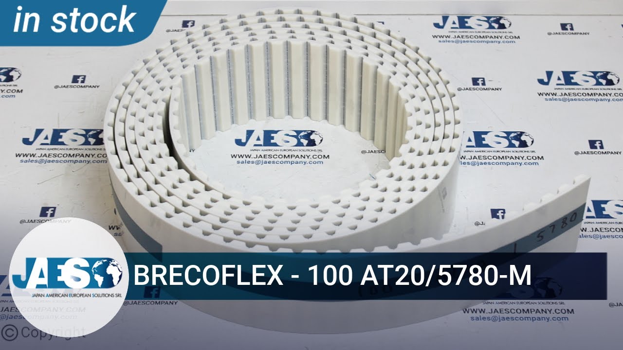 BRECOFLEX - 100 AT20/5780-M (IN STOCK) - Timing belt - cinghia di distribuzione - correia ...