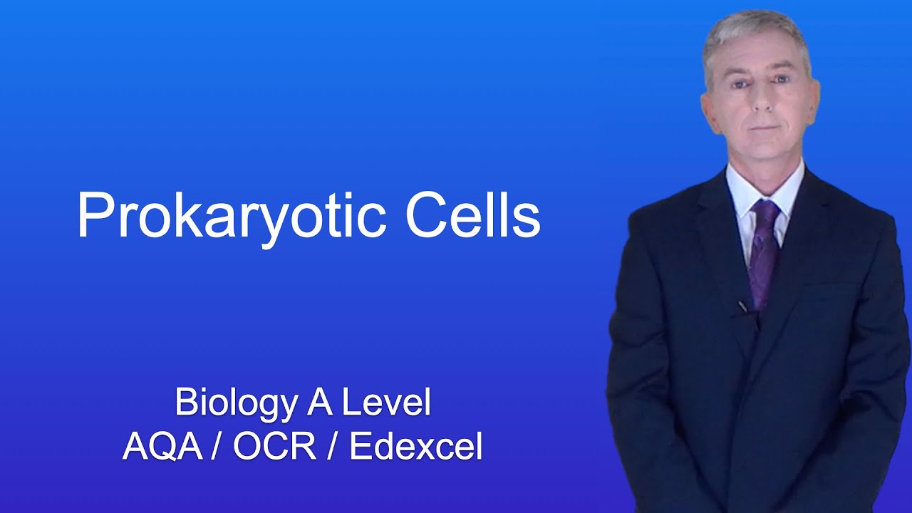A Level Biology Revision "Prokaryotic Cells". - YouTube