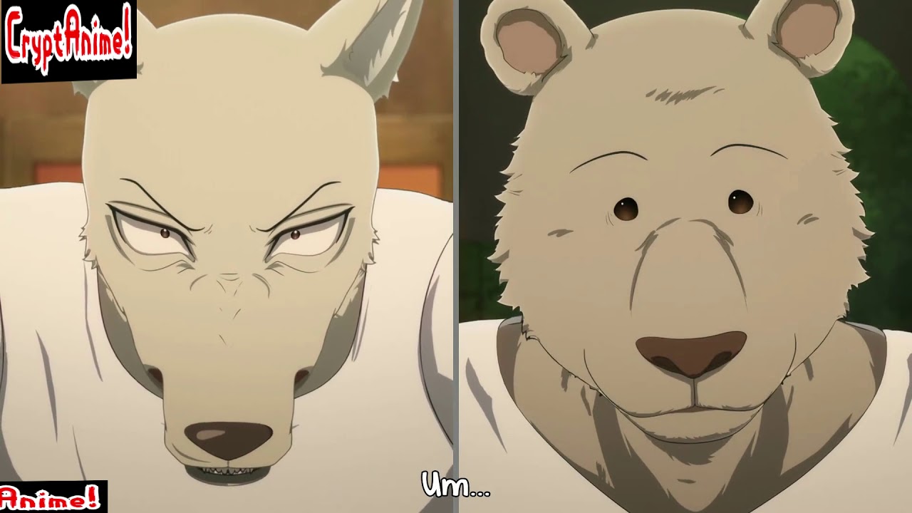 Riz provoca a Legoshi / Beastars / Temporada 2 Capitulo 9 Sub español ...