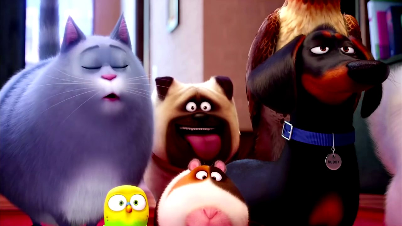 The Secret Life Of Pets : Chloe Funny Moments - YouTube
