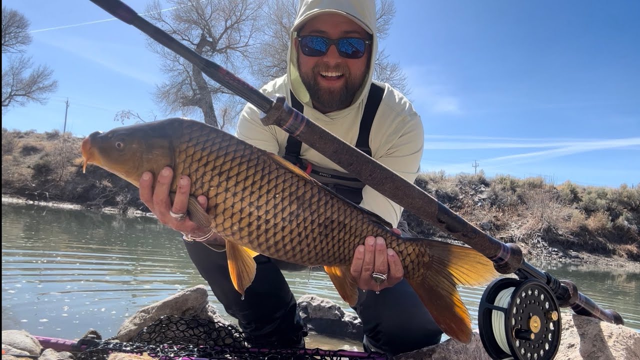 Catching carp on a two hand rod! - YouTube
