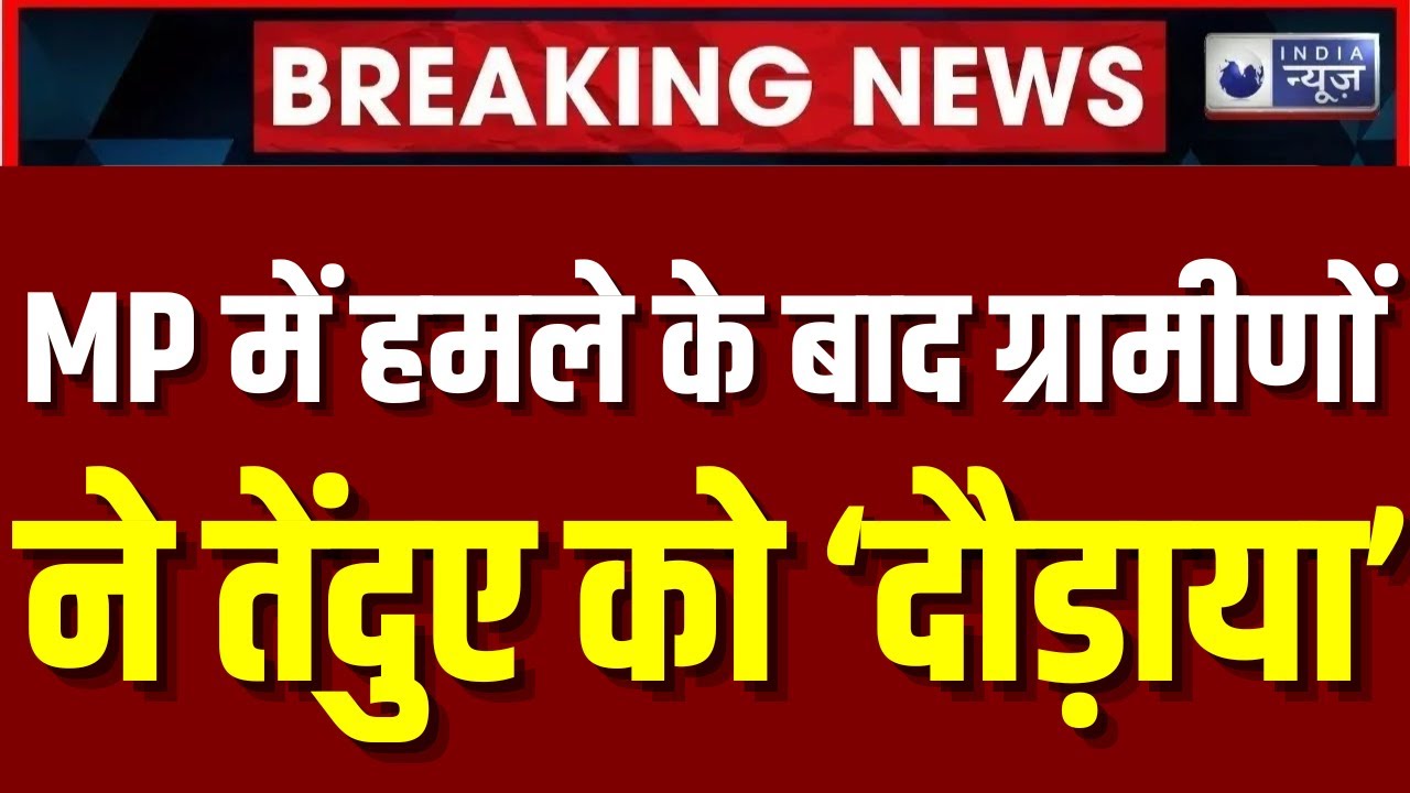 MP Tendua Attack: मध्यप्रदेश के शहडोल में युवक पर तेंदुए ने किया हमला ...