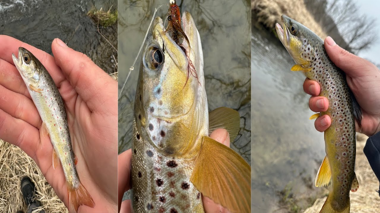 Early Spring Trout Fishing - YouTube