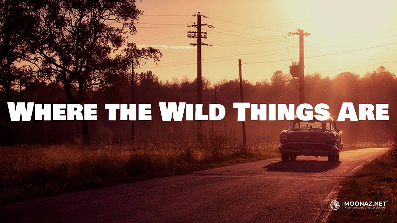 Where the Wild Things Are (Lyrics) - Luke Combs | Road Radio - YouTube