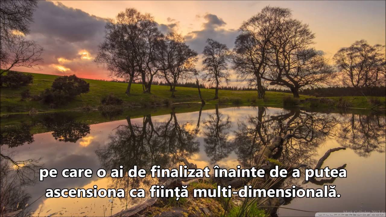 ACCEPTAREA ESTE SCOPUL VIEȚII - YouTube