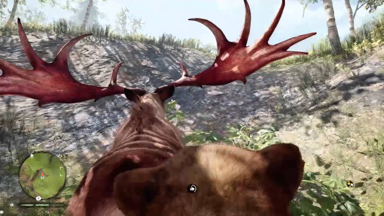 Red Elk Animal