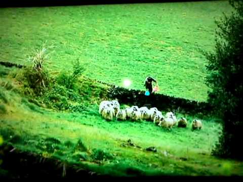 Brother Fessel 4 Lions - YouTube