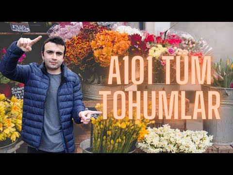 A101'DE BULUNAN TÜM TOHUMLARI ALDIM! (Çiçek Tohumu Çimlendirme)