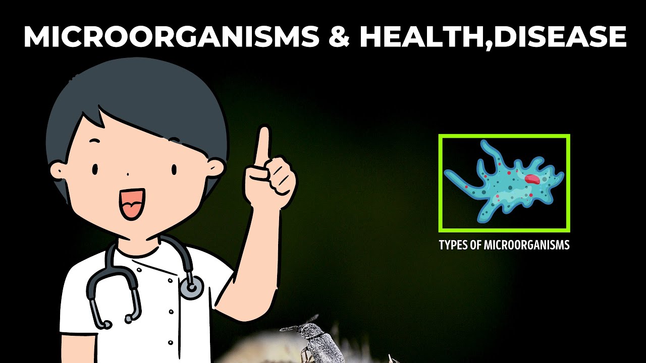 Overview of Types of Microorganisms and Their Role in Health and ...