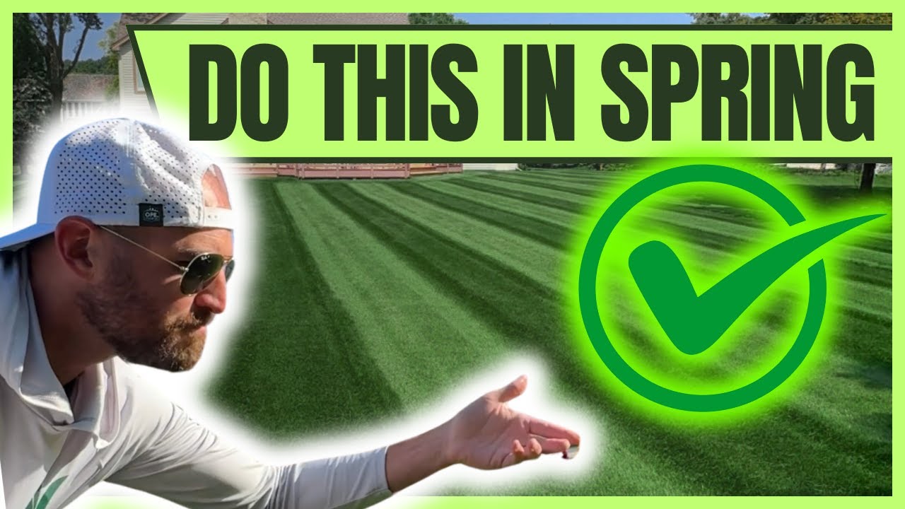 🌱 Get Your LAWN READY for Spring! Essential Northern Lawn Prep ...