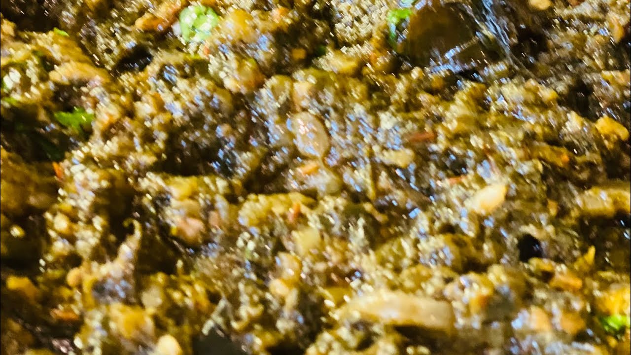 Taro leaves/ brede songe - YouTube