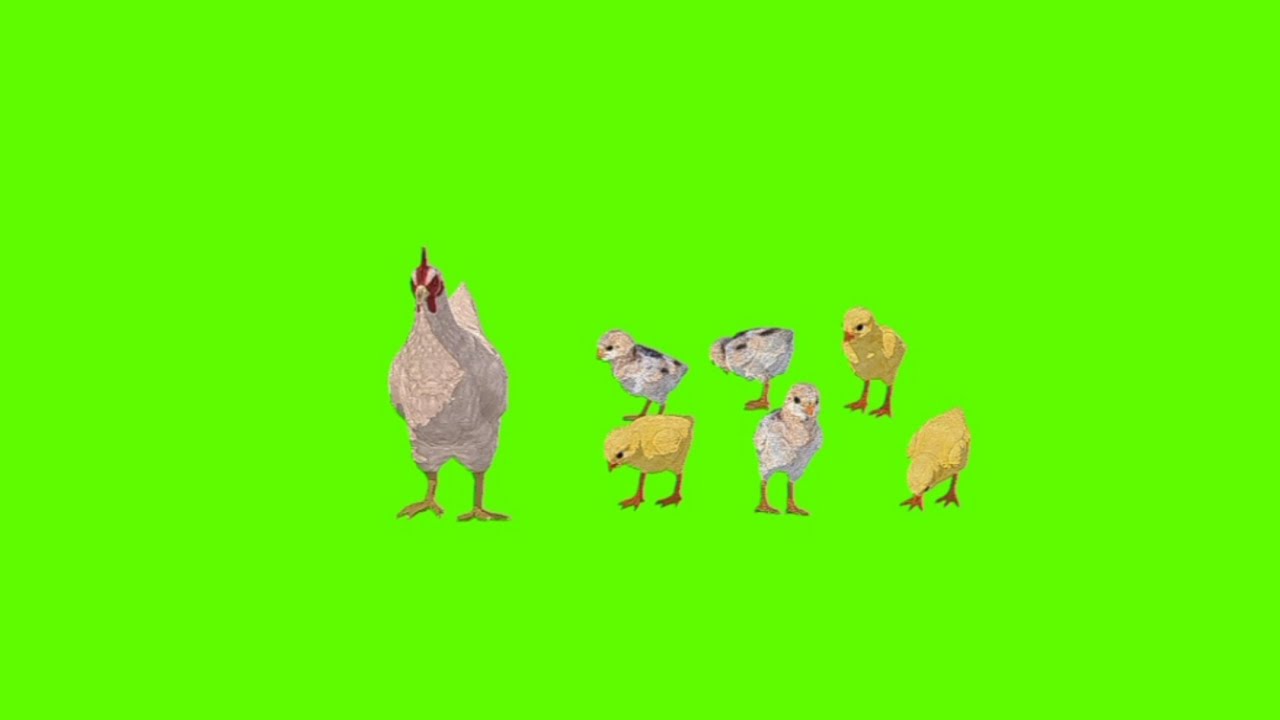 Chicken Green Screen Cartoon Character | No Copyright Green Screen ...