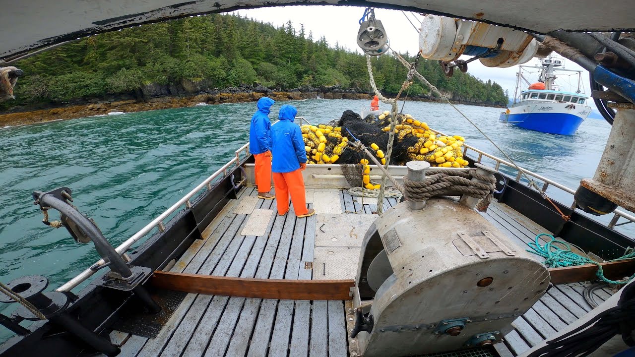 Fishing Salmon in Alaska - Commercial Fishing AK Seining Operation ...