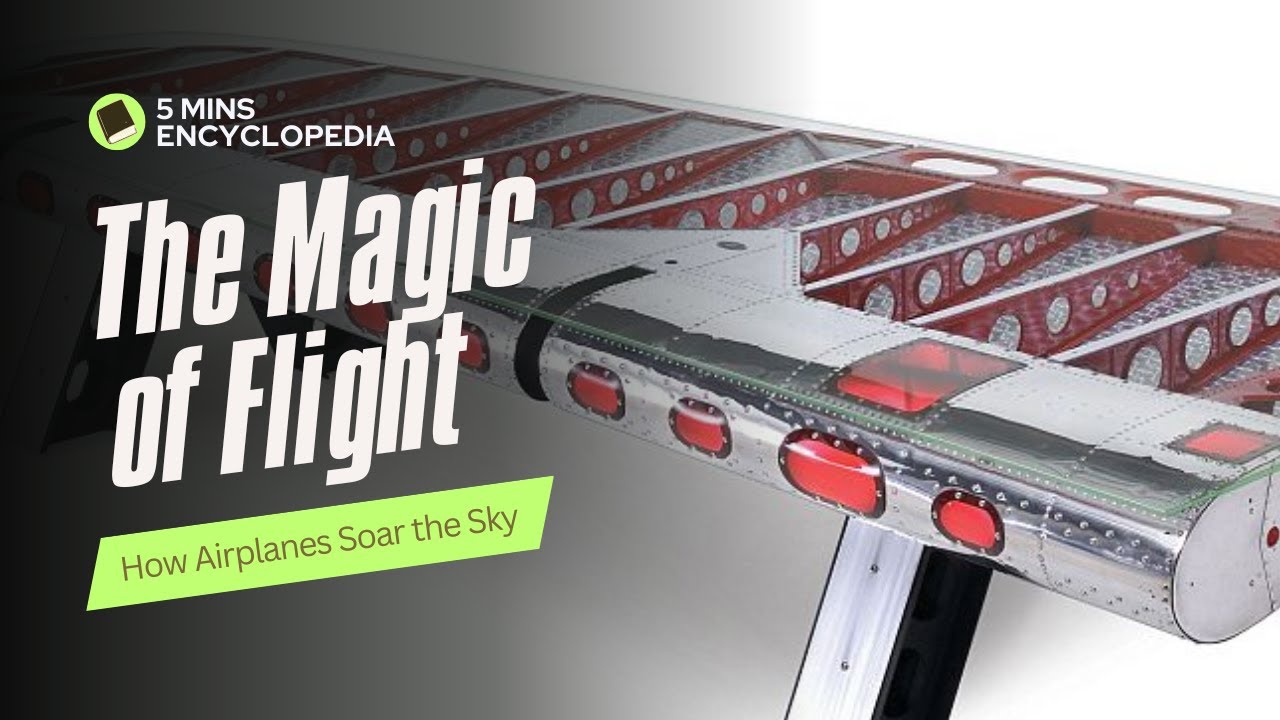 The Magic of Flight: How Airplanes fly in the Sky - YouTube