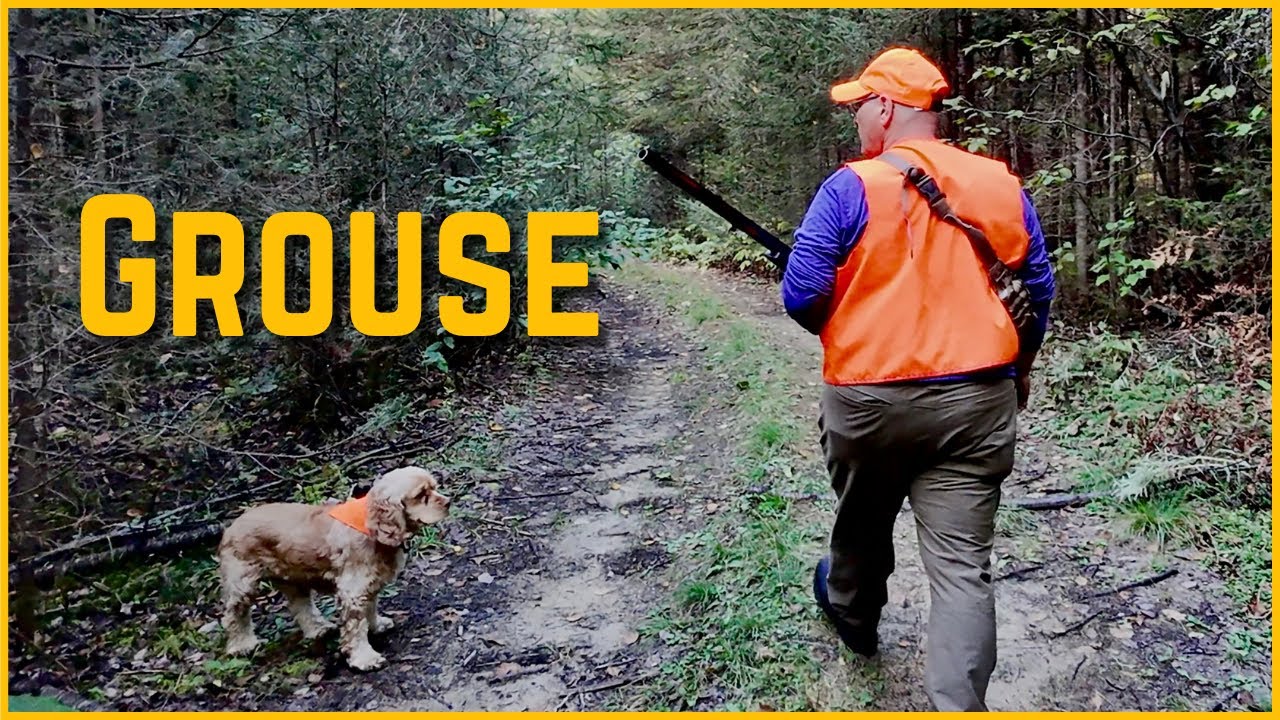 A Wild Harvest. Cooking up some Ruffed Grouse, camping out, canoe ...