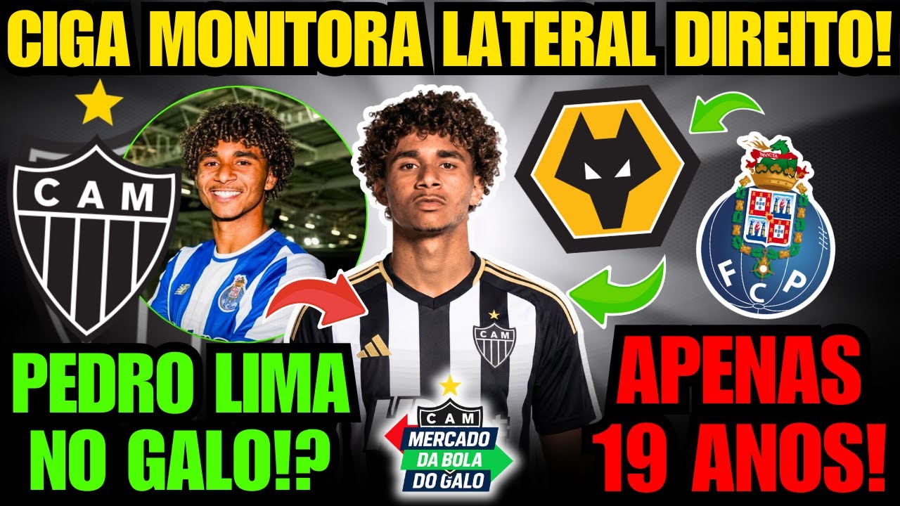 🚨 GALO DE OLHO EM LATERAL DIREITO DO FC PORTO B! PEDRO LIMA NO GALO ...