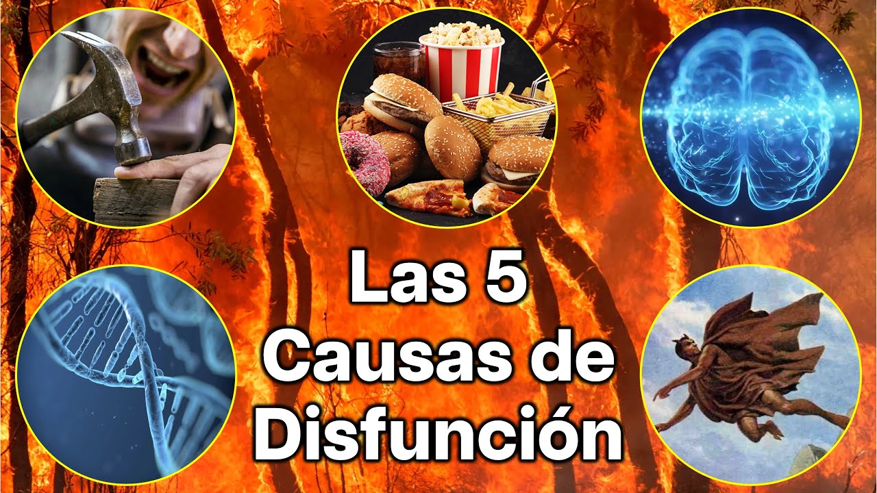 Las 5 Causas de Disfunción - YouTube
