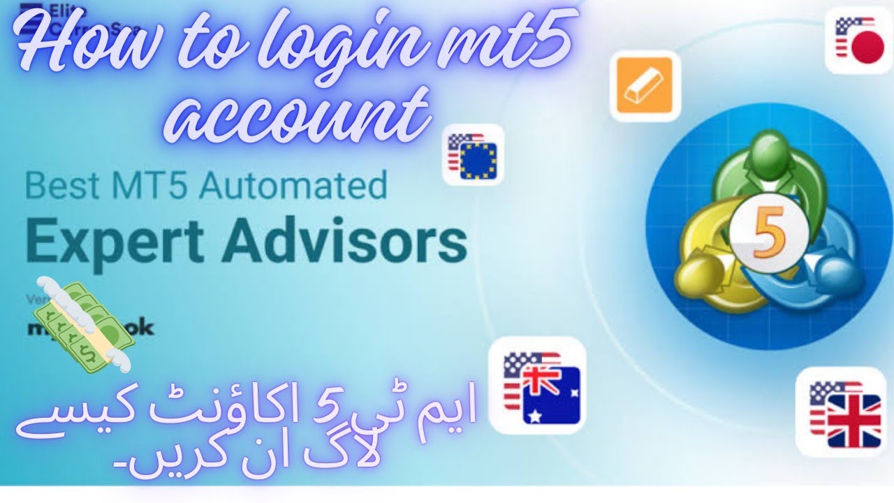 how to login mt5 accounts ||trading for beginners ||MT5||Hadi Bhai ...