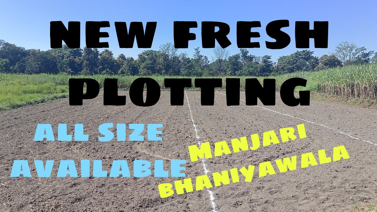 fresh plotting start Resham majri Haridwar road 🛣️🛣️ - YouTube