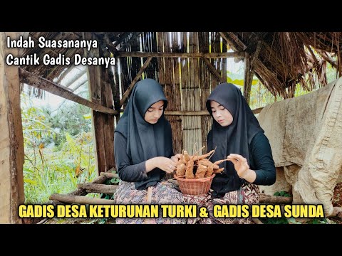 Gadis Desa Cantik Keturunan TURKI Dan Gadis Desa Sunda, Panen Singkong di Kebun || Girl Rural ...