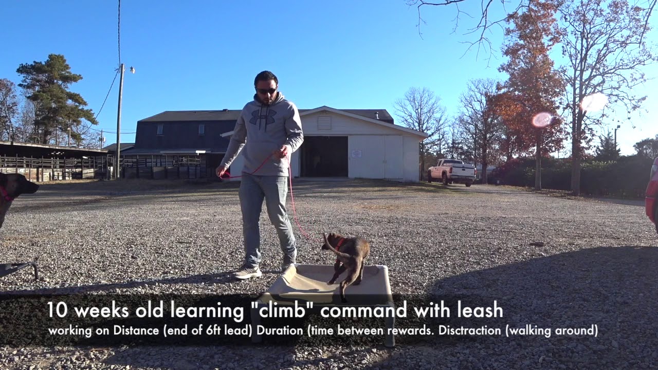 Climb XENA 10 weeks - YouTube