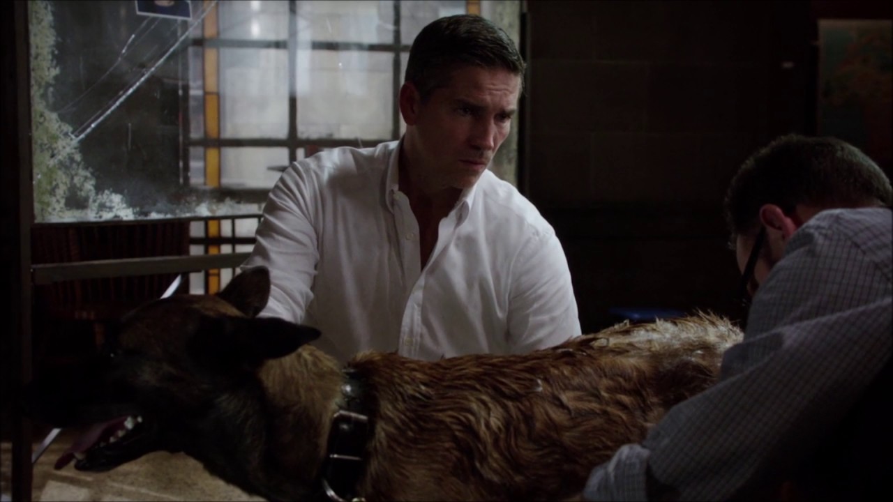 Finch and Reese Wash Bear (Person of Interest)(2 x 10) - YouTube