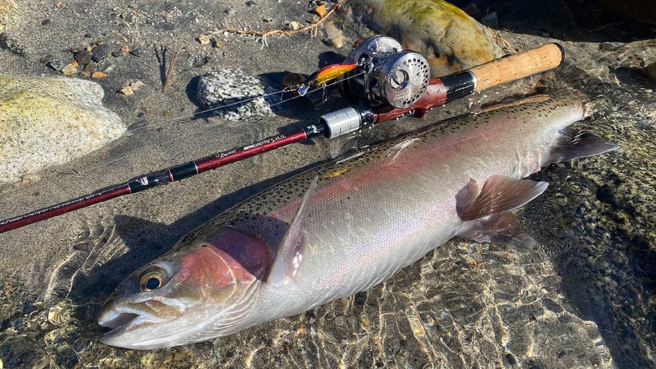 The end of the year fishing 2019, Upper Kings River - YouTube