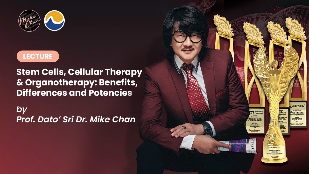 Stem Cells, Cellular Therapy & Organotherapy: Benefits, Differences and ...