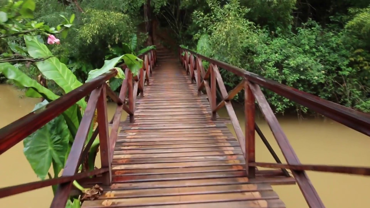 IN THE MIDDLE OF THE JUNGLE || Madagascar - YouTube